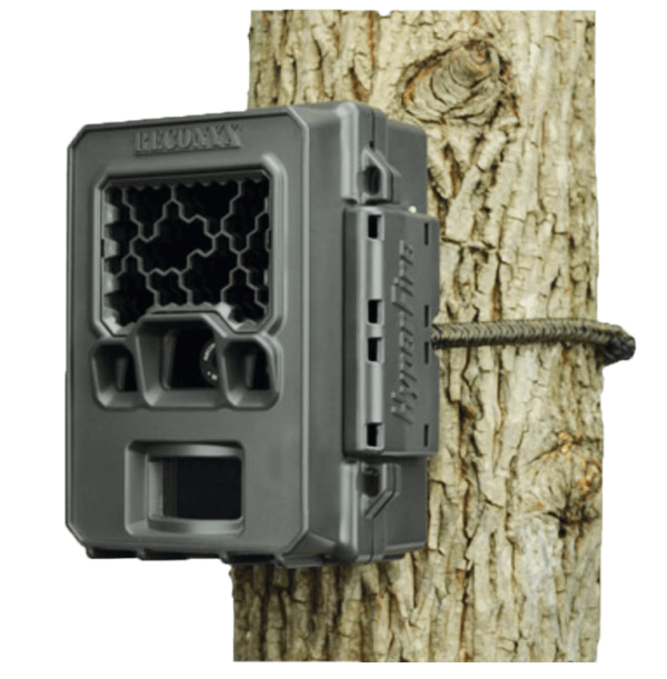 Vrienden van de Olifant - Voor de bescherming van olifanten